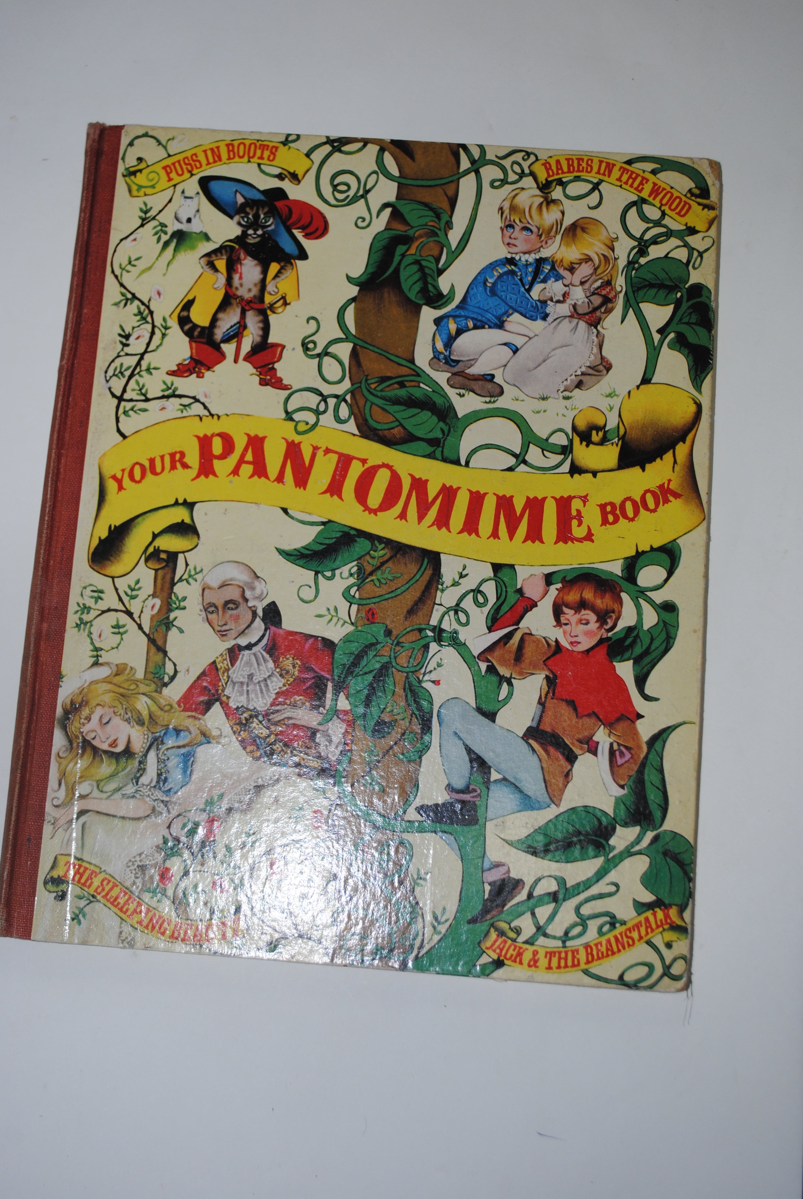 Your Pantomime Book – Senjobooks